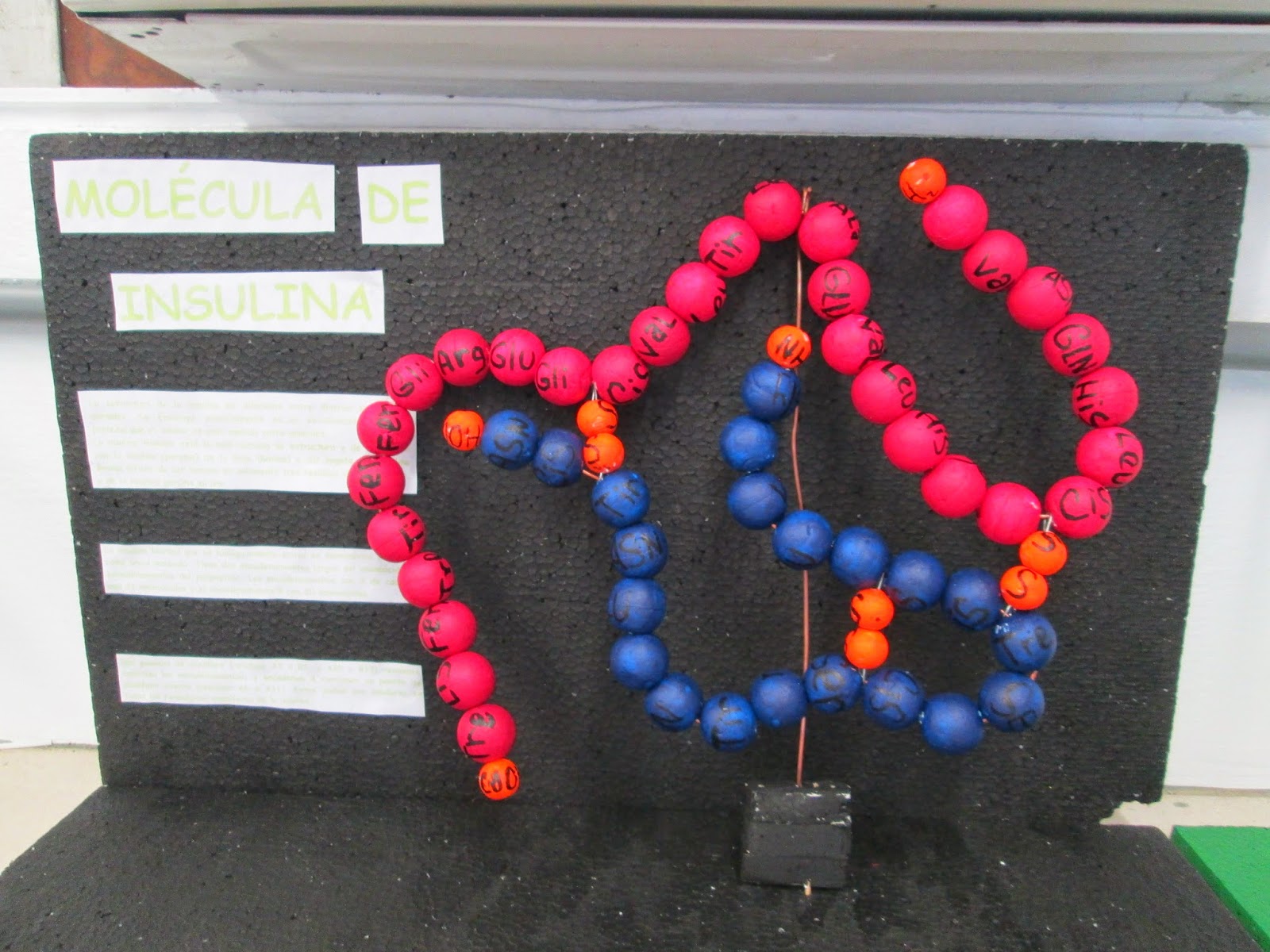 BIOFORO: Modelo 3D de Biomoléculas